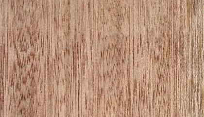 Screening systems | Centor