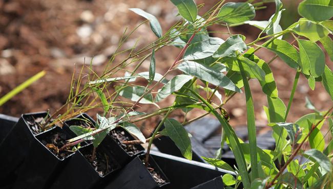 Connecting for a cause | Centor